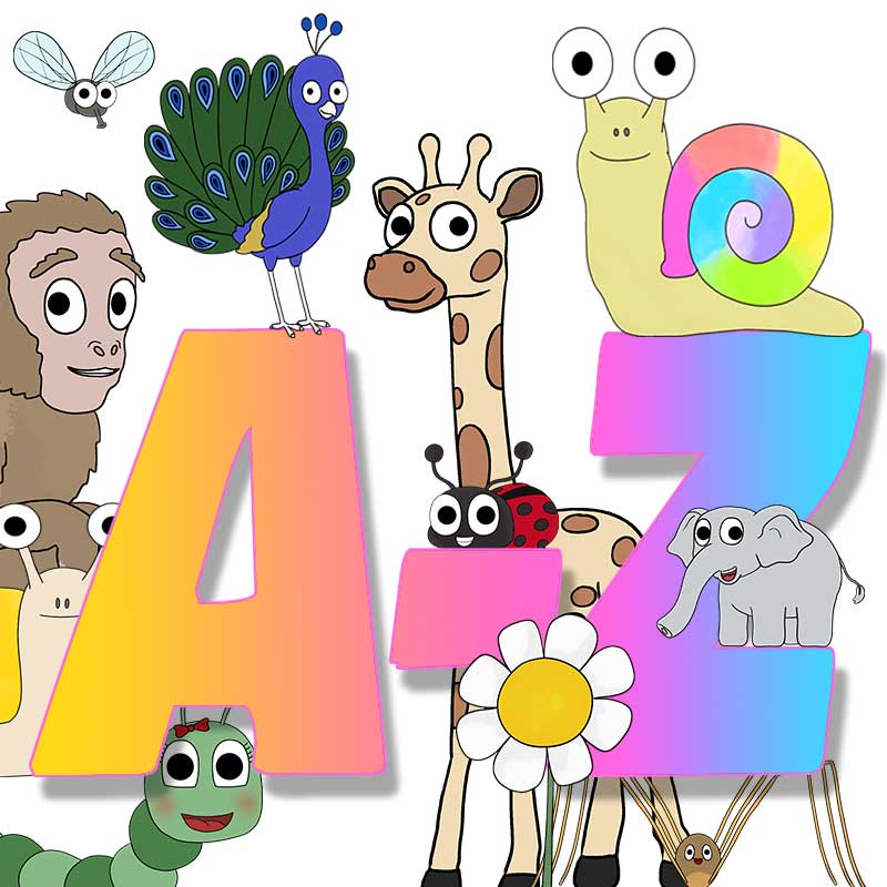 Amazing Animal Terms in Alphabetical Order - Eenie's World | Feeling Good